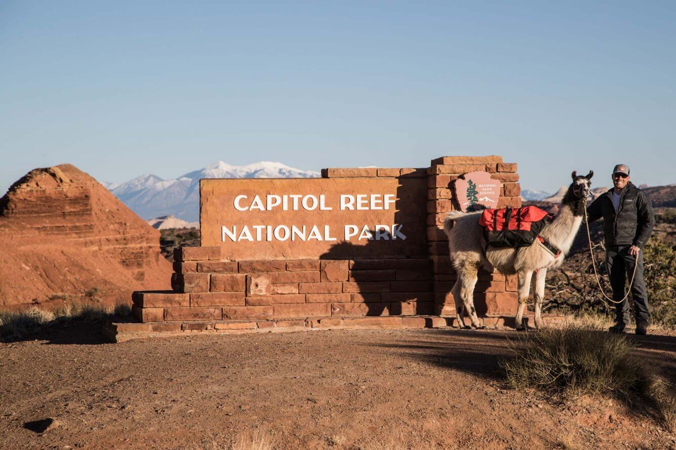 Guide to Experiencing Capitol Reef Resort in Torrey, Utah